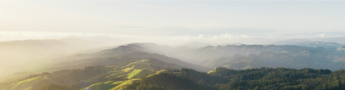 Optimized and Renewable Energy Solution Provider | Hinen